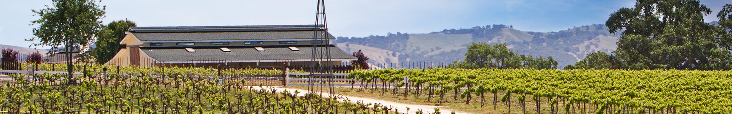 Ukiah - George Petersen Insurance Agency